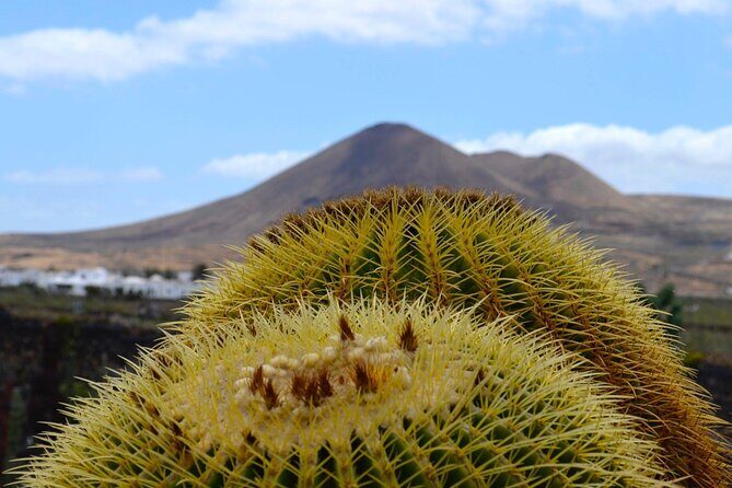 Customized Private Tours of Lanzarote island - Practical Details and What to Expect