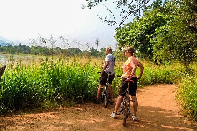 Cycling from Tissamaharama - Exploring the Route: What to Expect