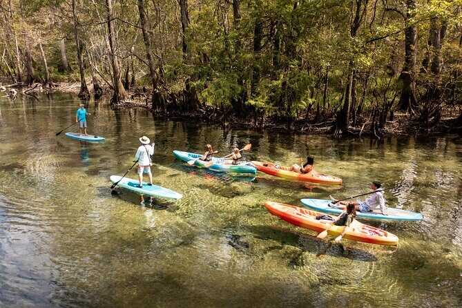 Cypress Springs Eco Adventure - Final Thoughts