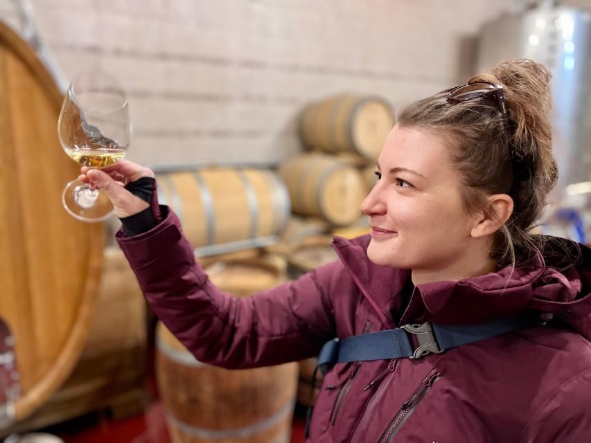 Czech Vineyards and Wine Tasting 4WD Tour with Lunch - Why This Tour Offers Good Value