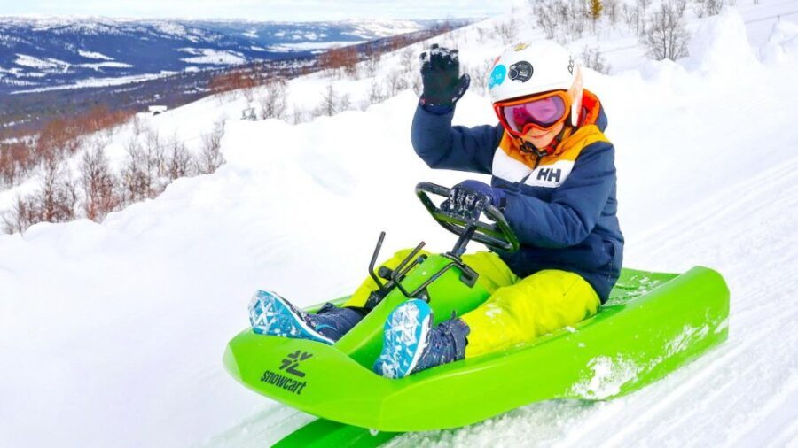 Dagali: 2-Hour Racing Toboggan Adventure - Who Will Love This Tour?