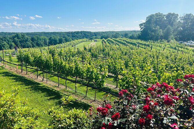 Dahlonega Wine & Dine Private Tour from Atlanta - Final Thoughts: Is This Tour Right for You?