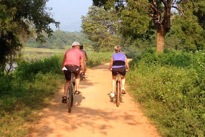 Dambulla and Sigiriya Cycling Tour from Colombo - Analyzing the Cost and Value