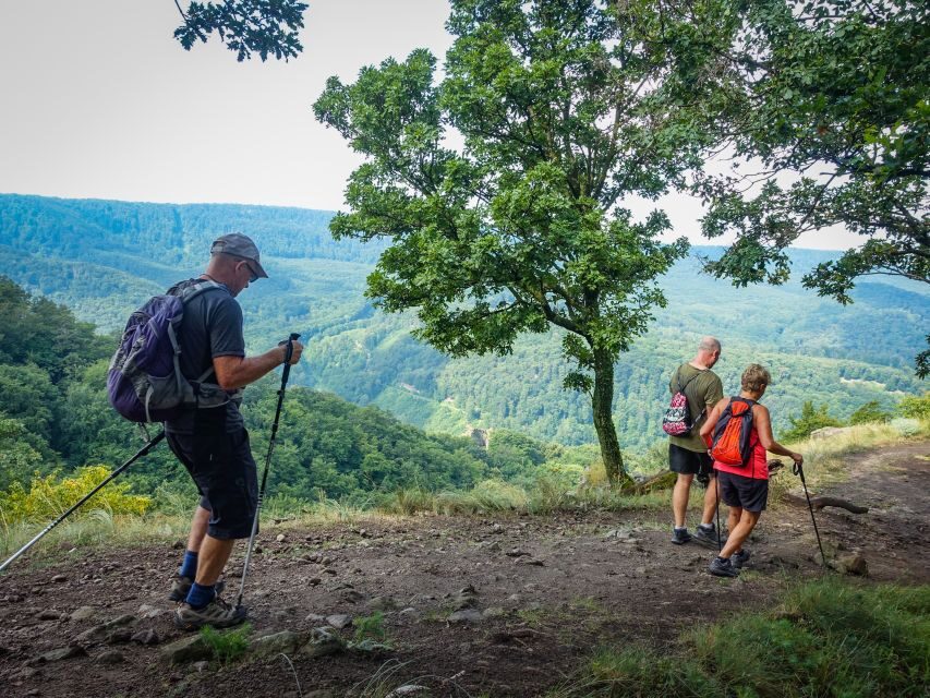 Danube Bend: Full-Day Hiking Tour from Budapest - The Logistics: What’s Included and What’s Not