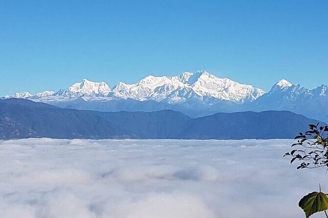 Darjeeling Singhalila Sandakphu Trek - What Travelers Will Love