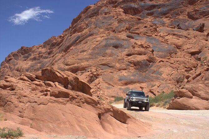 Dark Skies Stargazing Adventure with Luxury Bronco Rental - What the Night Looks Like