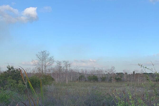 Dark Sky's in the Florida Everglades - Exploring the Itinerary: Day and Night in the Everglades