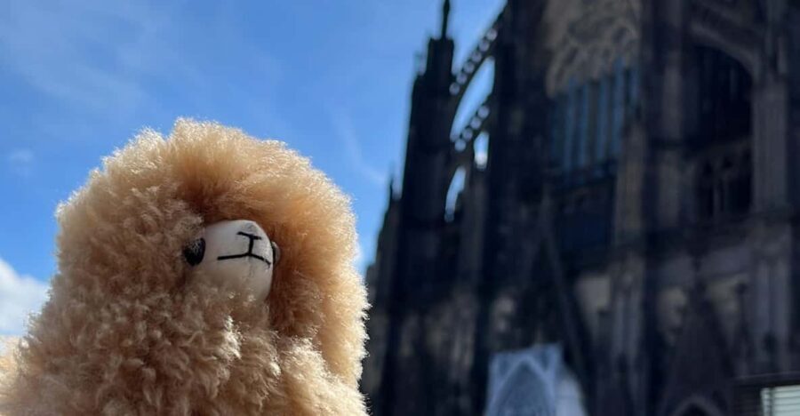 Day tour Aachen & Cologne from Brussels - Highlights of Each City