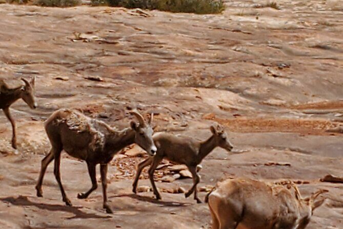 Day Tour Arches and Canyonlands National Park in Utah - Detailed Review of the Tour Experience