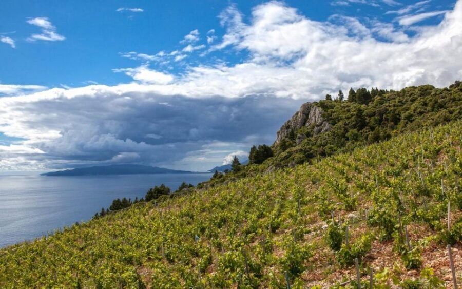 Day Tour from Dubrovnik - Korula and Peljeac Wine Tasting - The Ston Stop: Medieval Marvels and Saltworks