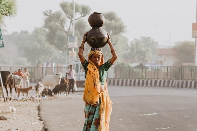 Day tour of agra by Superfast train including entrances ,lunch and guide - What We Love About This Tour