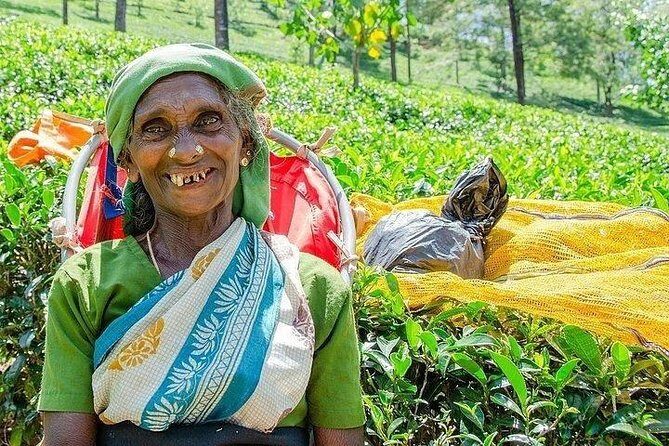 Day Tour of Nuwara Eliya - Transportation and Comfort