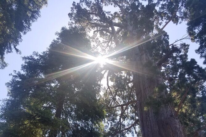 Day Tour to Kings Canyon National Park - What’s Included and How It Enhances Your Experience
