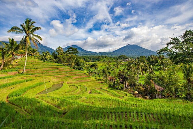 Day Tour Twinlake View Tamblingan, Jatiluwih - Tanah Lot Sunset - Exploring Jatiluwih Rice Terraces