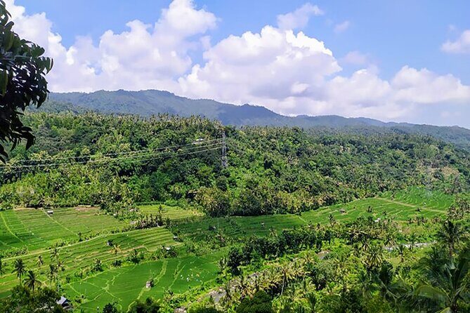 Day Tours Kertagosa, Besakih Temple & Jambul Hills - What You Should Know Before Booking