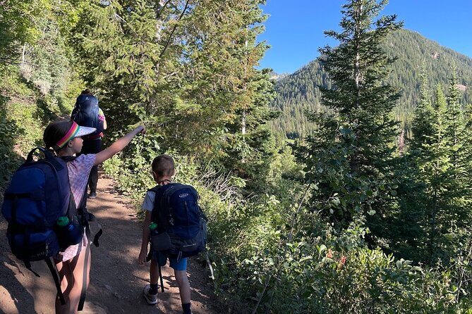 Day Trip Activity at Utah Mountain Backcountry with Box Lunch - Who Will Benefit Most?