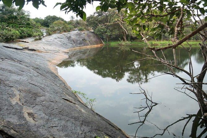 Day-trip Anuradhapura and Thanthirimale - Heritage Tour - What’s Included and What’s Not