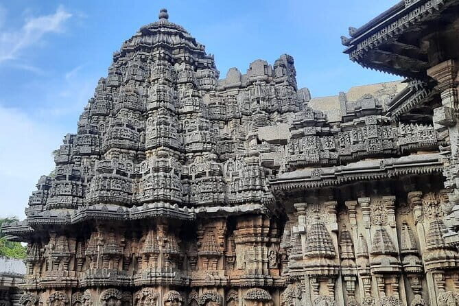 Day trip from Bangalore to Mysore, Somnathapura & Srirangapatna - Who Would Love This Tour?
