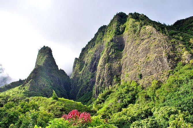 Day Trip Oahu to Maui: Sips, Sites and Bites - Authentic Experiences and Honest Feedback