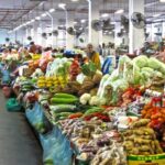 Day Trip Sepilok Orang-utan And City Tour - Who Will Love This Tour?