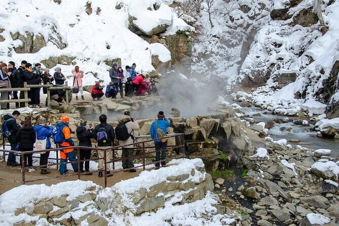 Day Trip Snow Monkey in Nagano from Tokyo by bullet train - Seasonal Considerations and Practical Tips