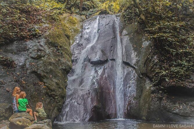 Day Trip to Kinabalu Park and Poring Hot Spring Guided Tour - What the Tour Experience Means for Travelers