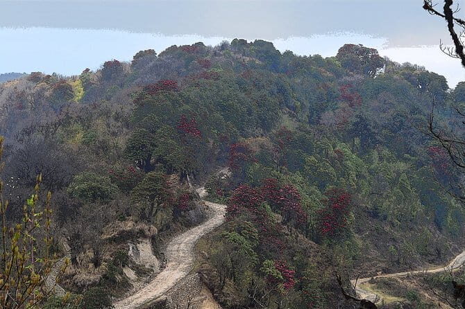 Day Trip to Nature Trails (Guided Private Sightseeing Experience from Bangalore) - Transportation and Logistics