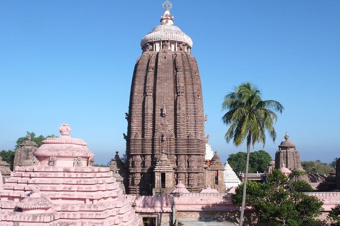 Day Trip to Puri (Guided Private Sightseeing Experience from Bhubaneswar) - Practical Tips for Travelers