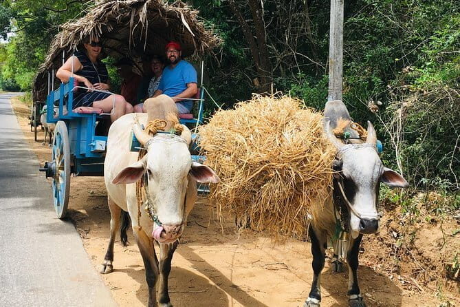 Day trip to Sigiriya and Dambulla from Kandy - What’s Included and What’s Not