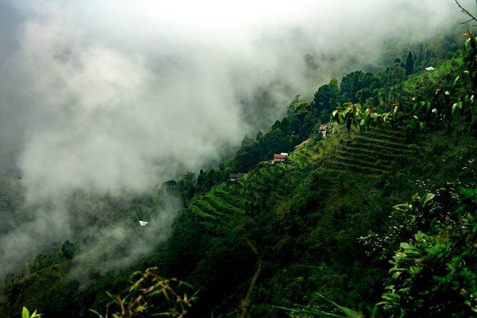 Day Trip to Singalila (Guided Private Sightseeing Experience from Darjeeling) - Analyzing the Value