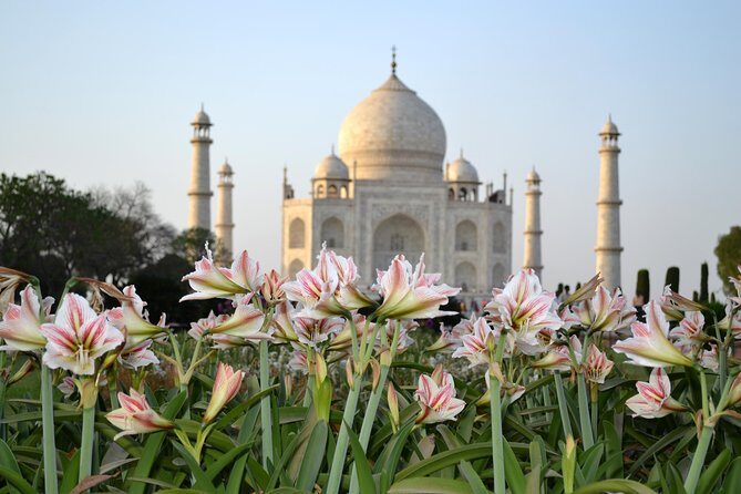 Day trip to Taj Mahal and Agra from Kochi with Return Flights - Exploring the Taj Mahal: A Masterpiece of Love
