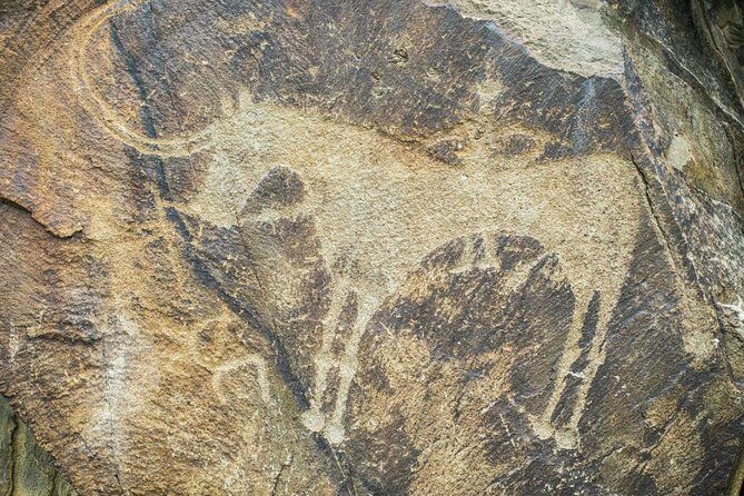 Day Trip to Tanbaly Petroglyphs - The Itinerary in Detail