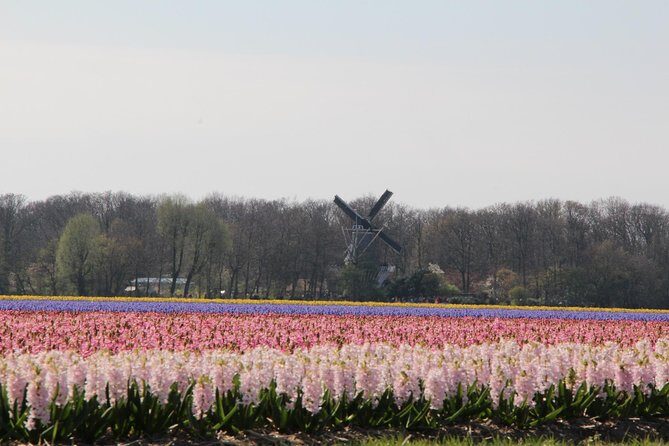 Day Trip To Tulip Gardens Of Keukenhof From Amsterdam: Private & Personalized - Optional Experiences: Boats and Bicycles
