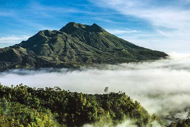 DayTour:Traditional House-Batuan-Tirta Empul- Ubud Rice field-Kintamani Volcano - Practical Details and Value