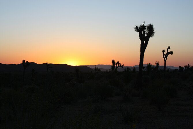 Death Valley Small Group Day Tour with Sunset and Stargazing - What the Tour Includes and What to Expect