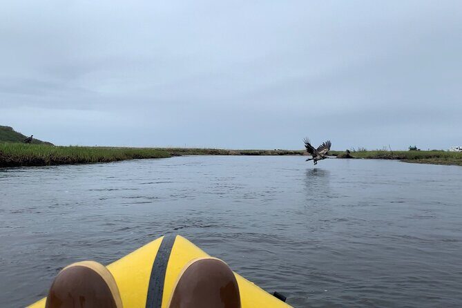 Deep Creek 1/2 Day Packraft Tour - What’s Included and What to Bring