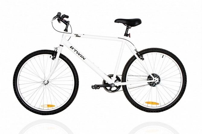 Delhi Bike Rental - Final Thoughts: Is It Worth It?
