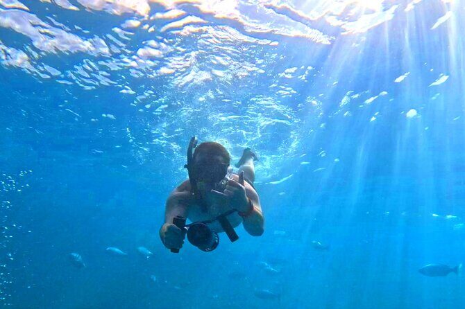 Deluxe Turtle Snorkeling Escapade at Waikiki - What to Expect on the Tour
