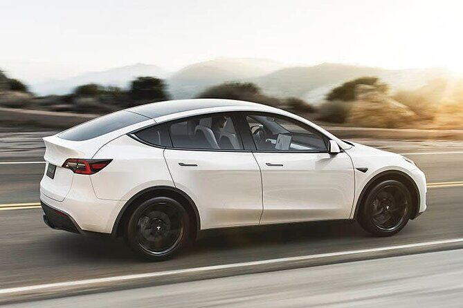Departure Private Transfer: Las Vegas to Las Vegas Airport by electric vehicle - Who Should Consider This?