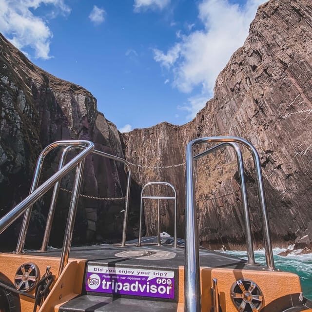 Dingle: Sea Safari by RIB Boat - An In-Depth Look at the Dingle Sea Safari Experience