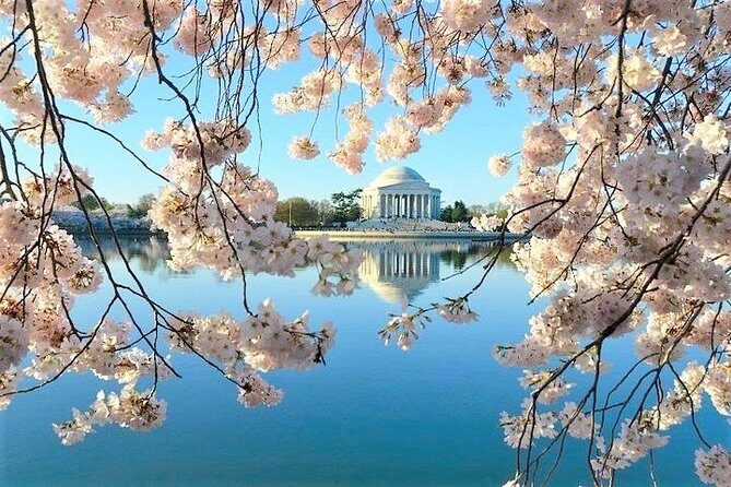 Discover DC Private Tour  (Up to 12 Guests) - FAQ