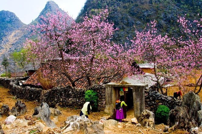 Discover Hagiang 4 Days 3 Nights - Transportation, Timing, and Group Size