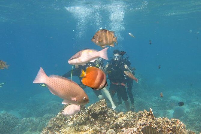 Discover Nha Trang Bay with Scuba Diving Tour - What’s Included and What’s Not
