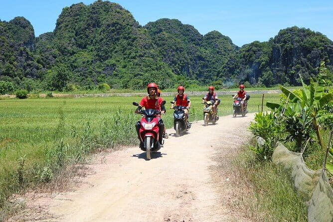 Discover Ninh Binhs Highlights Hidden Gems 1 Day Motorbike Tour - Who Should Consider This Tour?