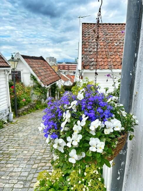 Discover Private+ Stavanger Guided City Tour - Why You’ll Appreciate the Experience