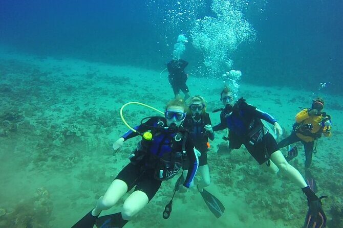Discover Scuba Diving in Waikiki - What Travelers Are Saying