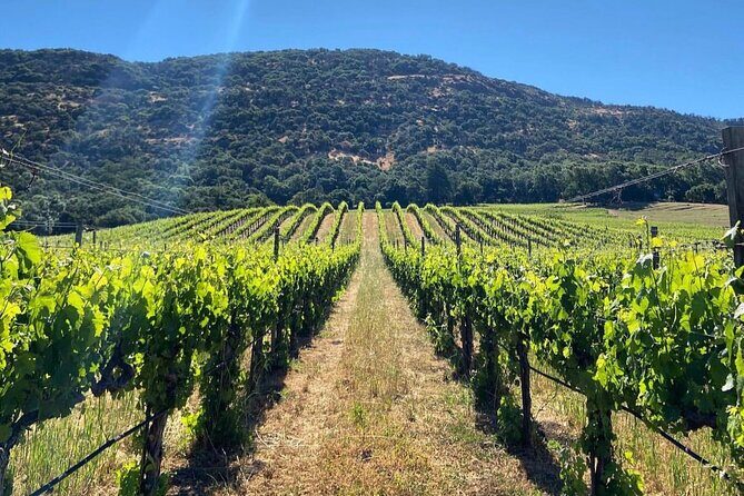 Discover Sonoma's Natural Wineries in Small-Group Tour - Frequently Asked Questions