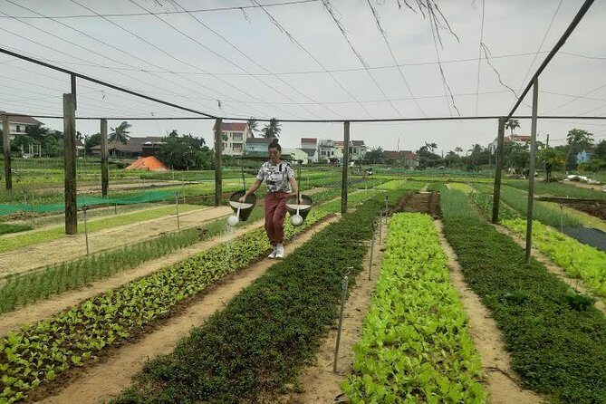 Discovering Hoi An Countryside Local style From Hoi an - Authentic Experience with a Friendly Touch