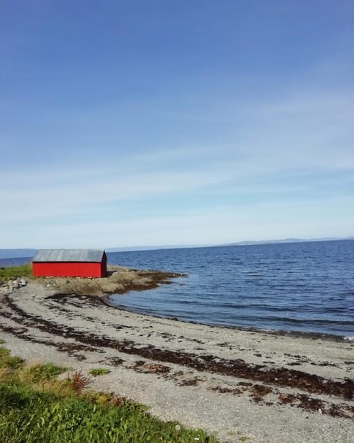 Discovery hike along the Trondheimsfjord - Discovering Norway’s Fjord: A Full Breakdown