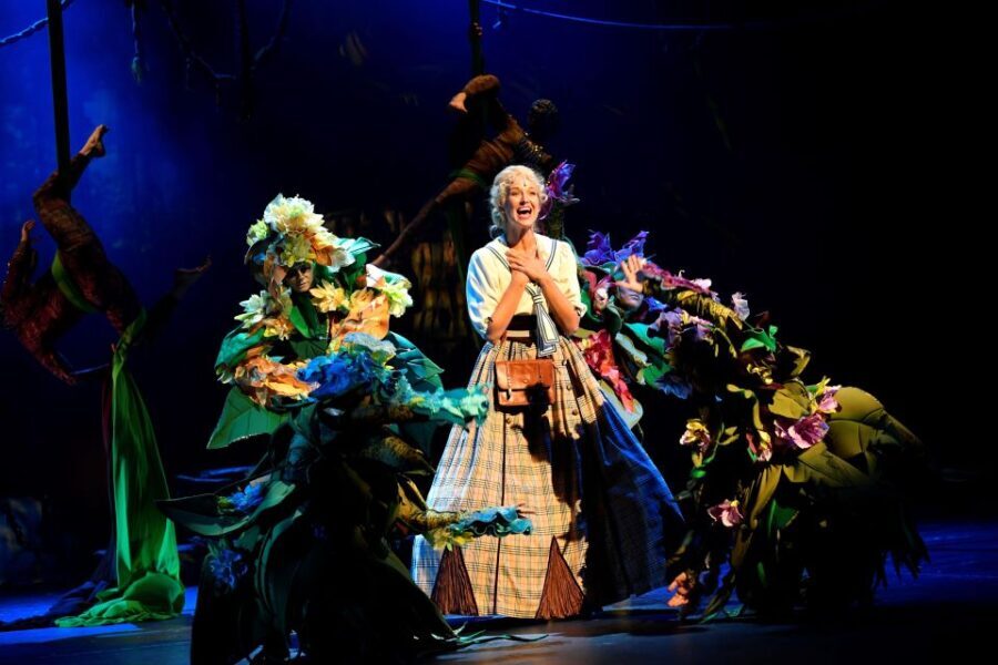 Disney's Tarzan Musical - What to Expect from the Disneys Tarzan Musical Experience
